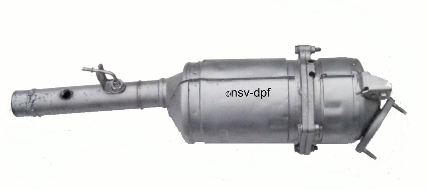 Renault Scenic Dieselpartikelfilter | Naturschutzverein Paradiese Shop